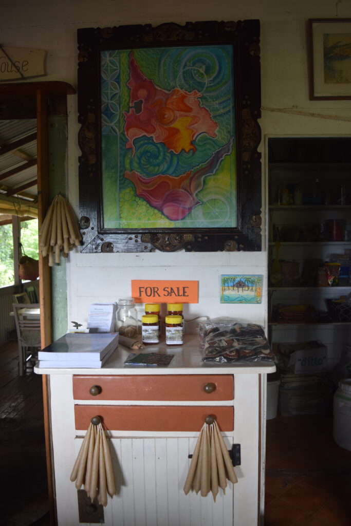 Gallery | Middle Percy Island