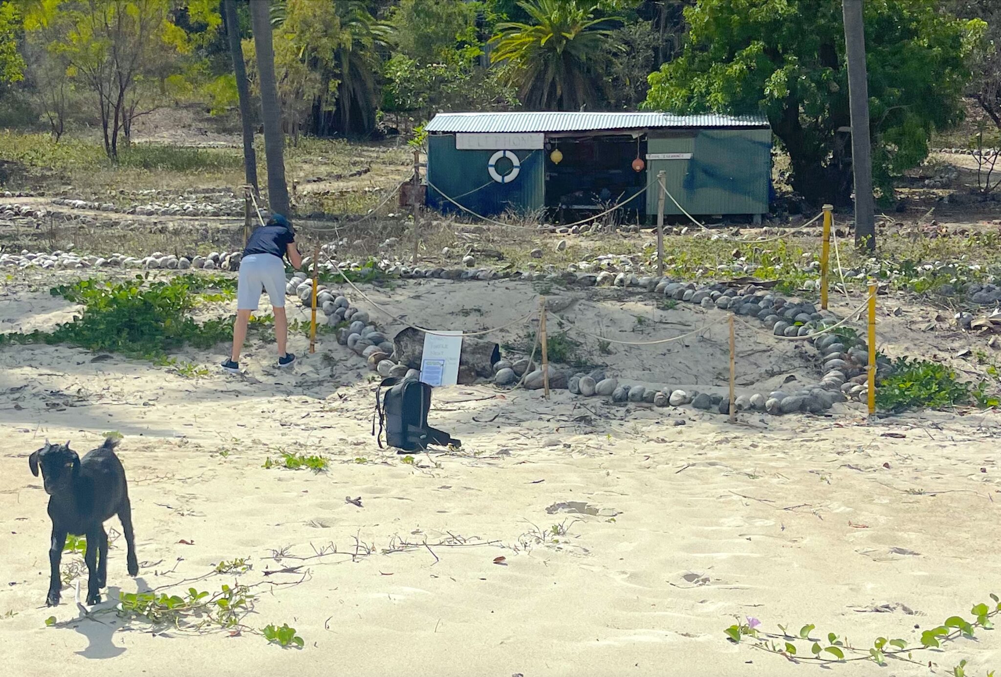 Middle Percy Island | Middle Percy Island